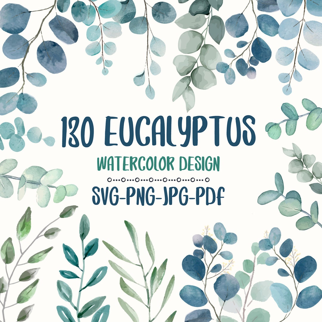 Watercolor Eucalyptus Clipart Bundle, Eucalyptus Png, Eucalyptus Svg ...