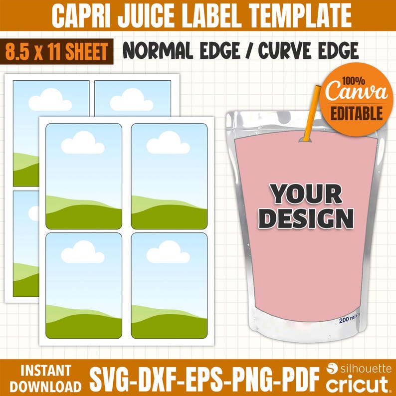 Editable Juice Pouch Label Template: Canva Party Favor (digital ...