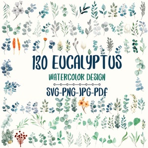 Watercolor Eucalyptus Clipart Bundle, Eucalyptus Png, Eucalyptus Svg ...