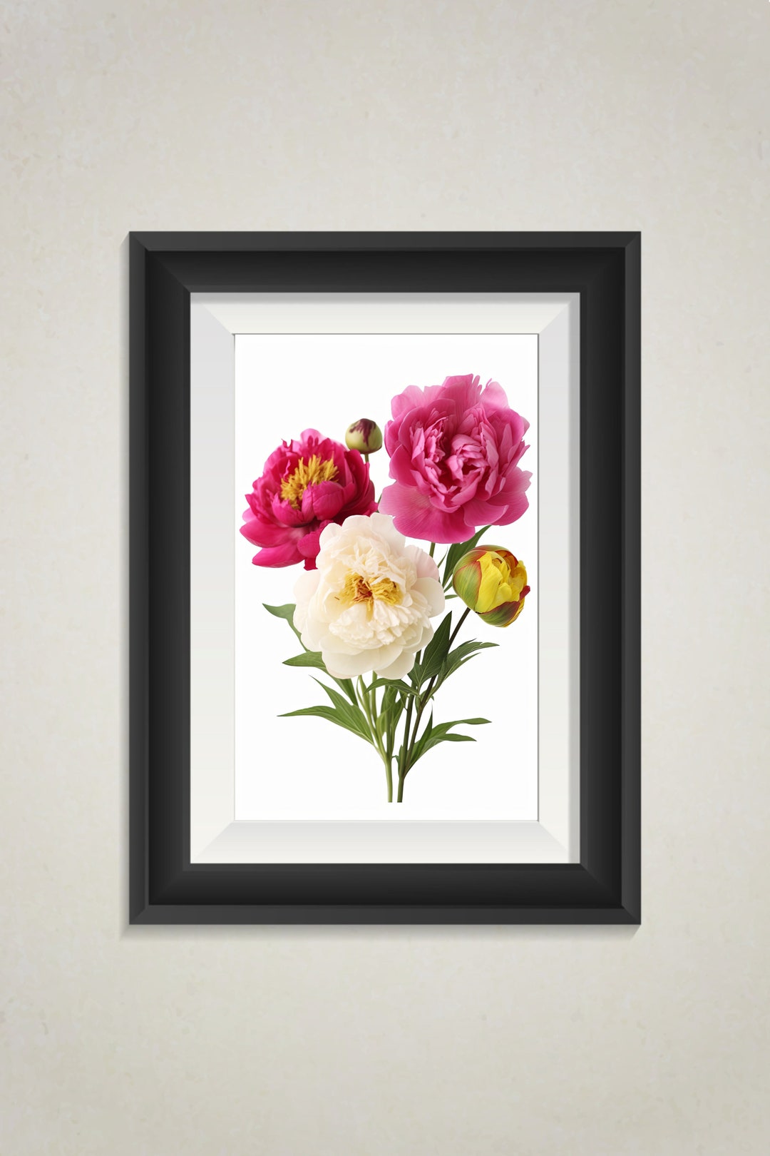 Multi-colored Peonies Wall Art Flowers Home Decor Simple Elegant Nature ...