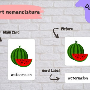 FRUITS 32 Printable Flashcards Montessori Nomenclature Cards Perfect ...