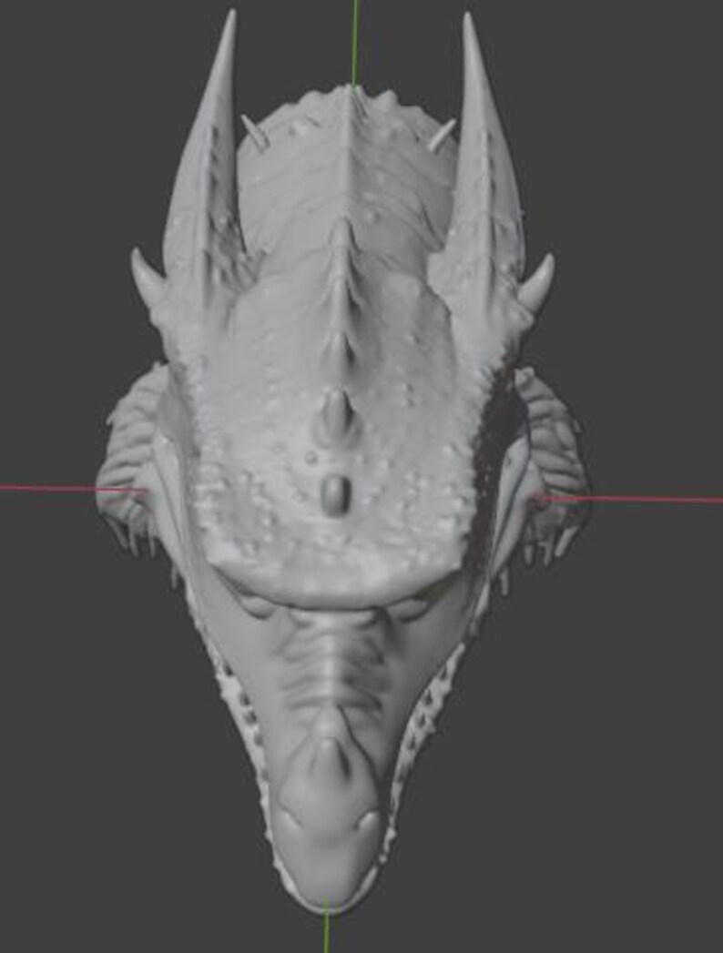 Dragonslayer Movie, Low Detail Dragon, Dragon Head Miniature, Vermithor ...