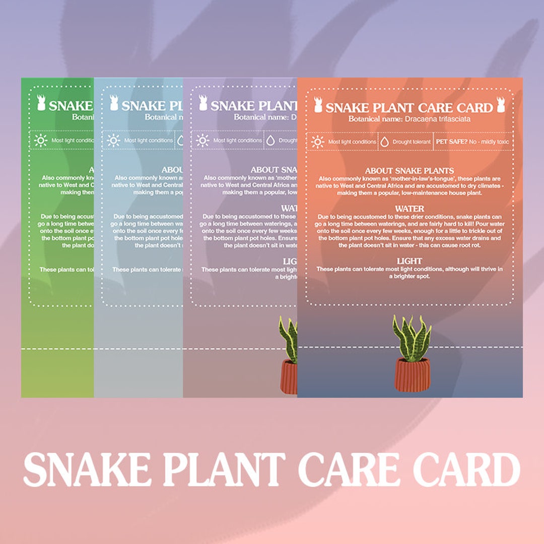 Snake Plant Care Card, Digital Snake Plant Care Label, Mother in Law's ...