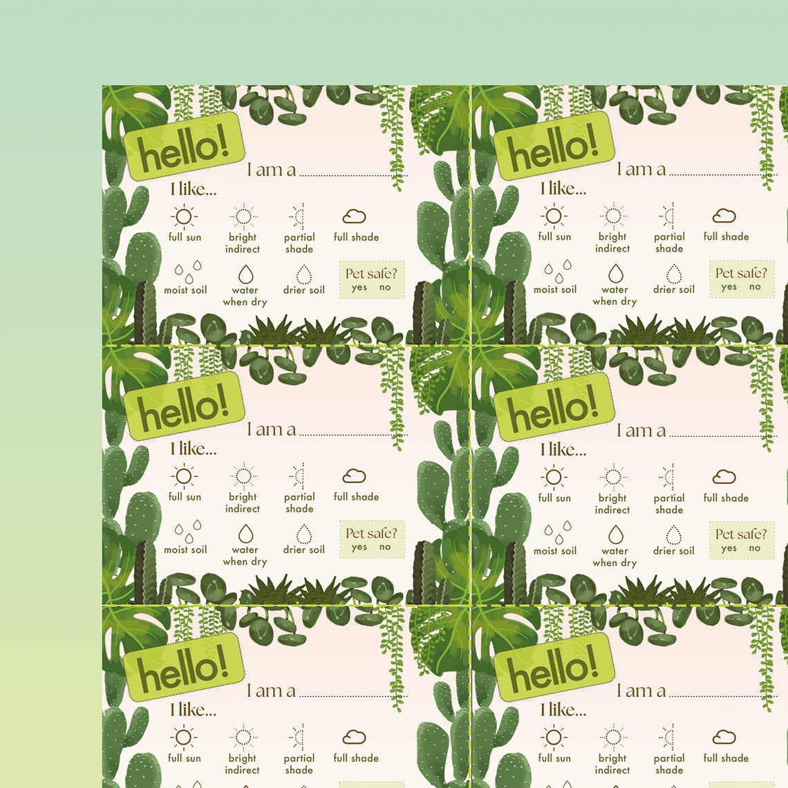 Plant Care Card, Digital Plant Care Label, Printable Houseplant Care ...