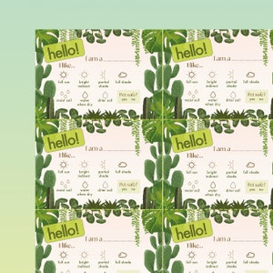 Plant Care Card, Digital Plant Care Label, Printable Houseplant Care ...