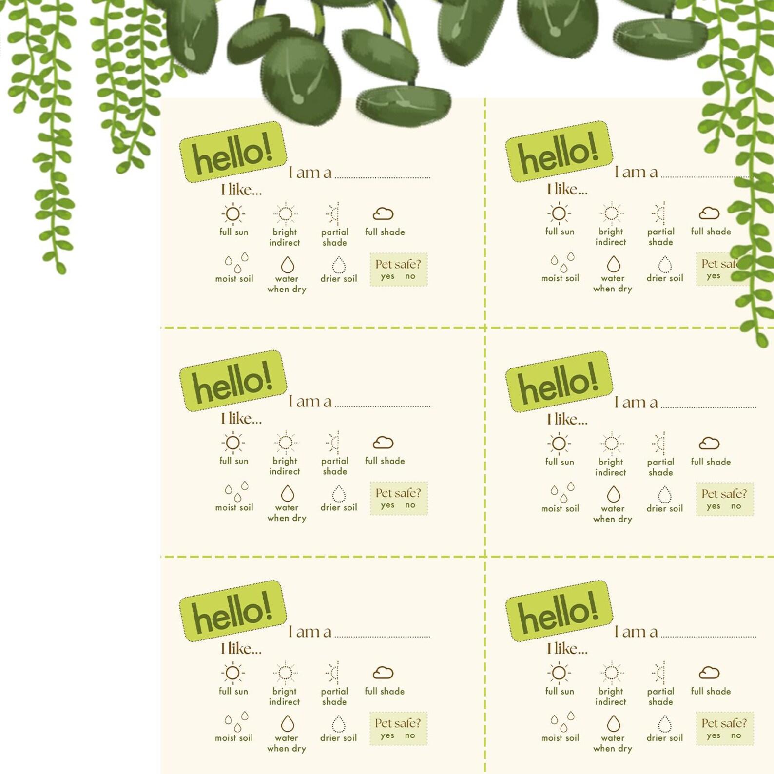 Plant Care Card, Digital Plant Care Label, Printable Houseplant Care ...