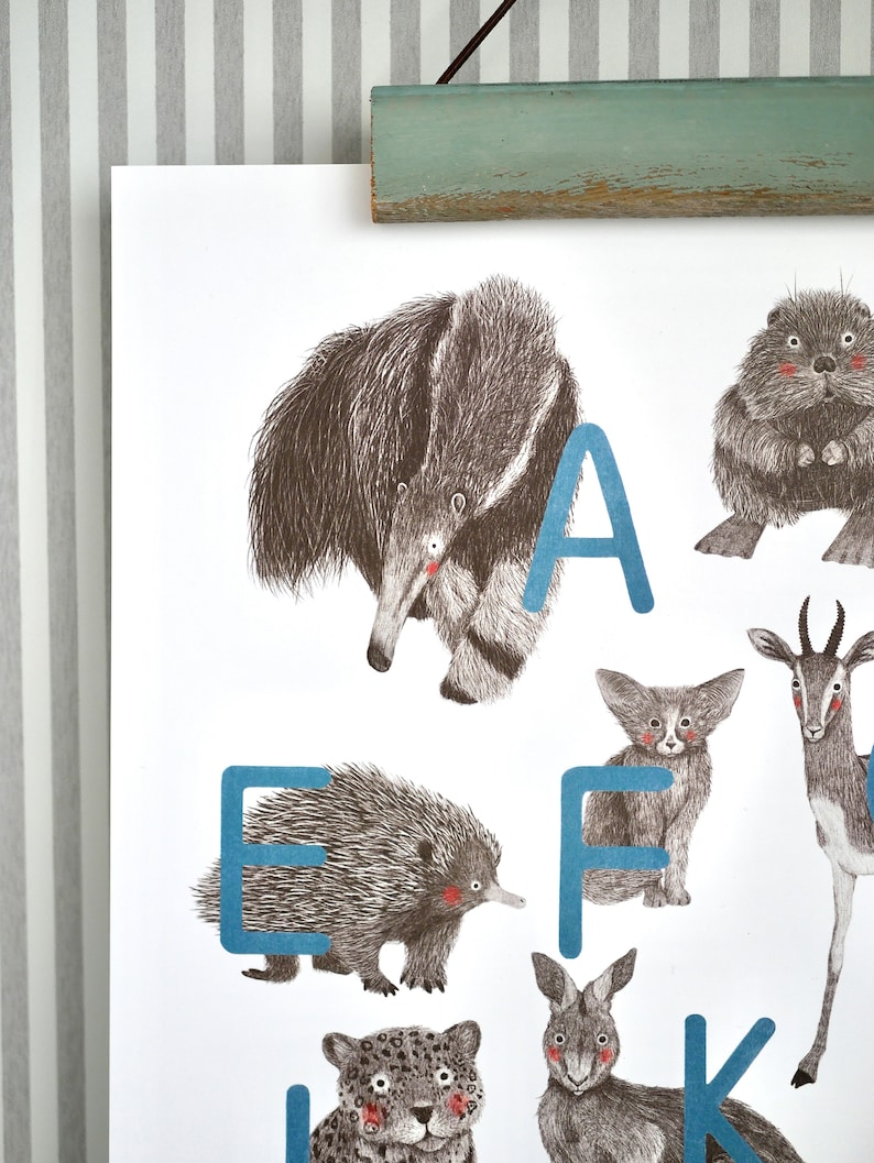 ABC Poster | English Animal Alphabet A2 - Etsy