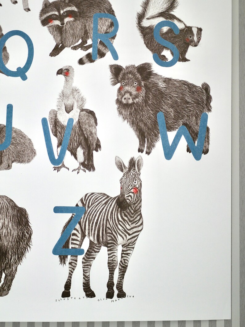 ABC Poster | English Animal Alphabet A2 - Etsy