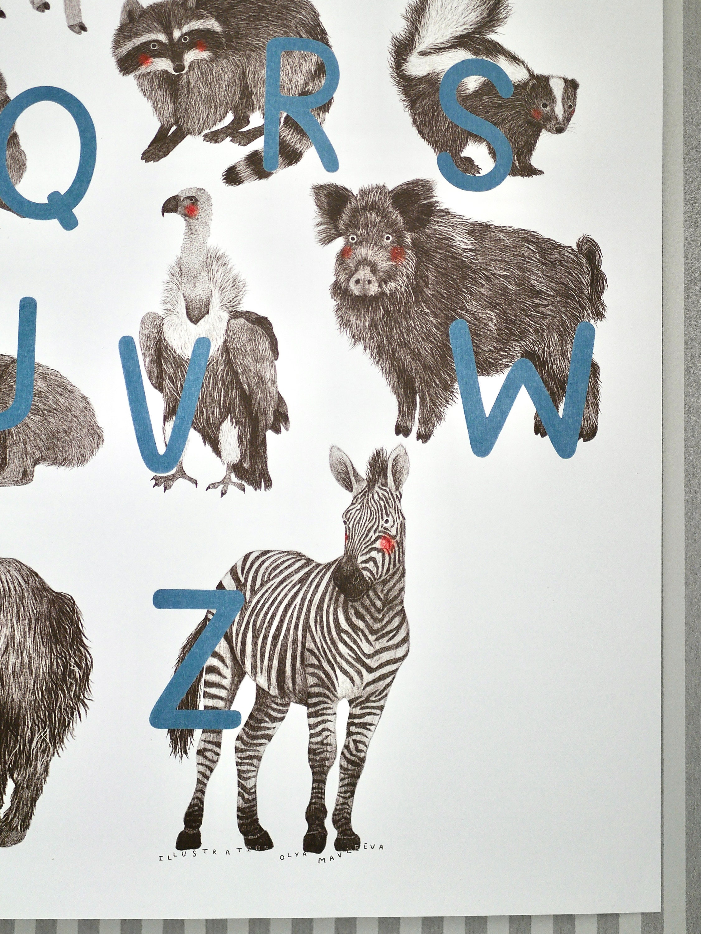 ABC Poster | English Animal Alphabet A2 - Etsy