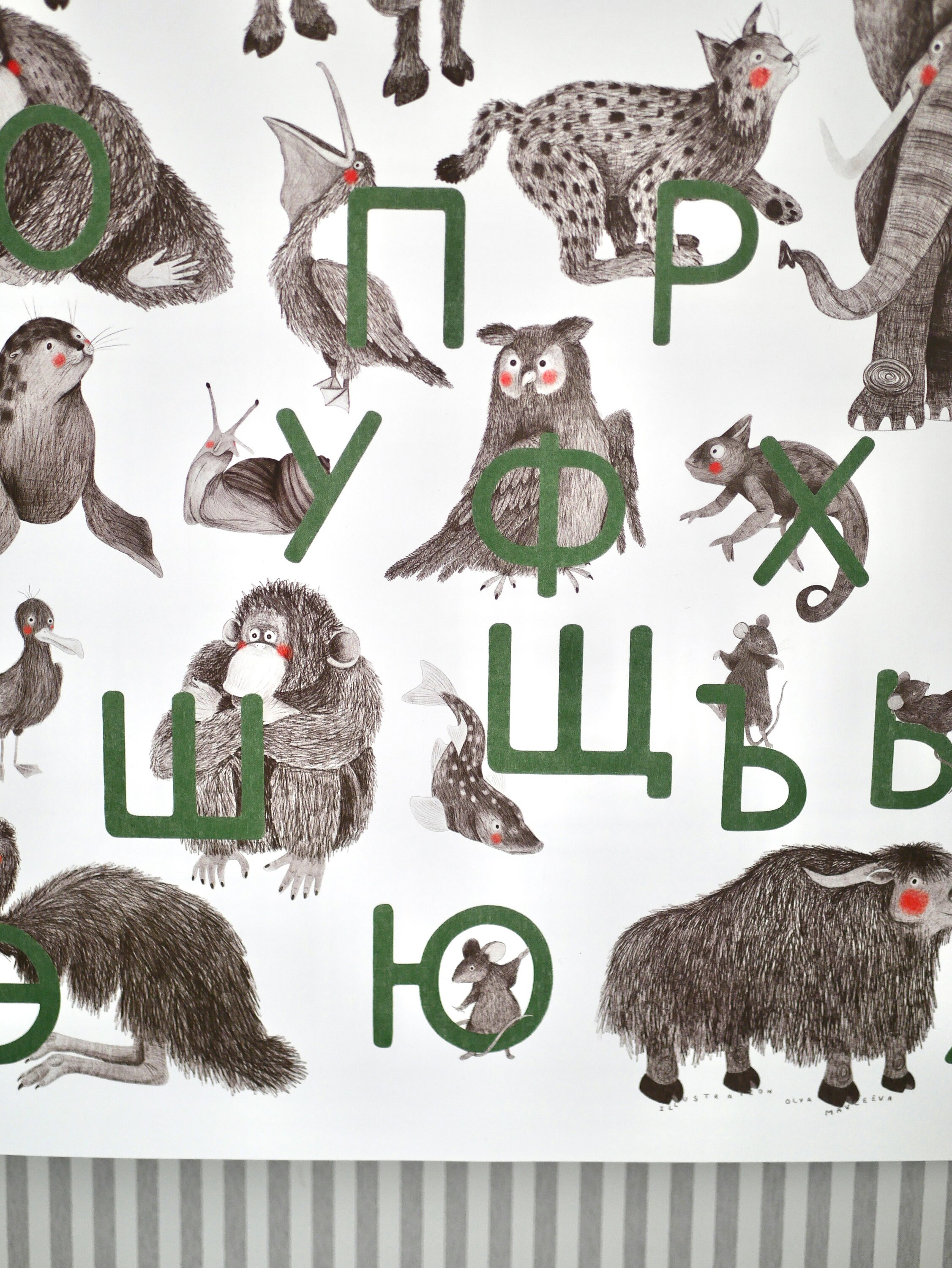 Russian Animal Alphabet A2 Animal Alphabet Poster Animal Poster ABC ...