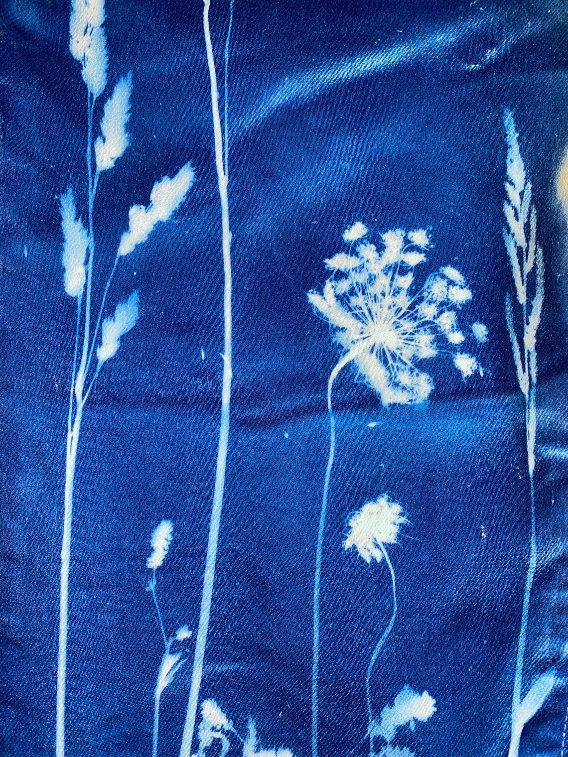 Cyanotype Custom Order: 1/4 Jeans - Etsy