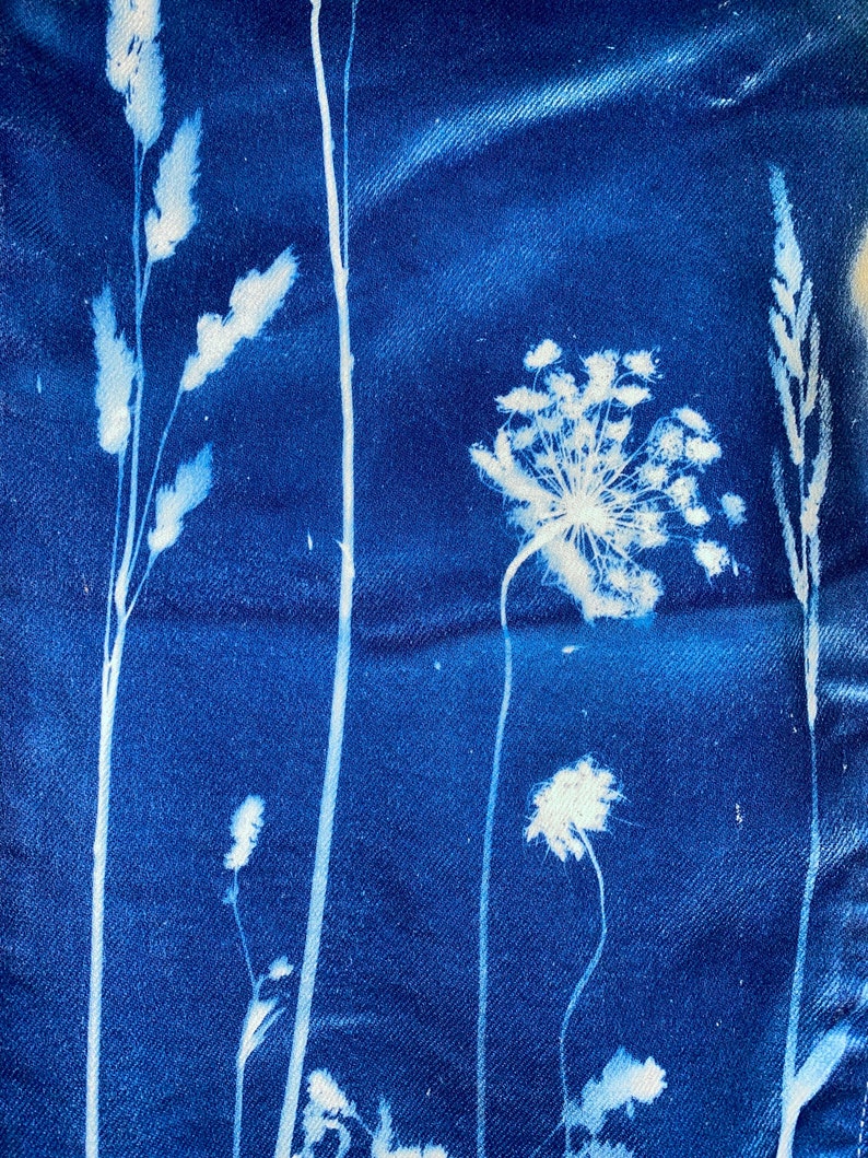 Cyanotype Custom Order: 1/4 Jeans - Etsy
