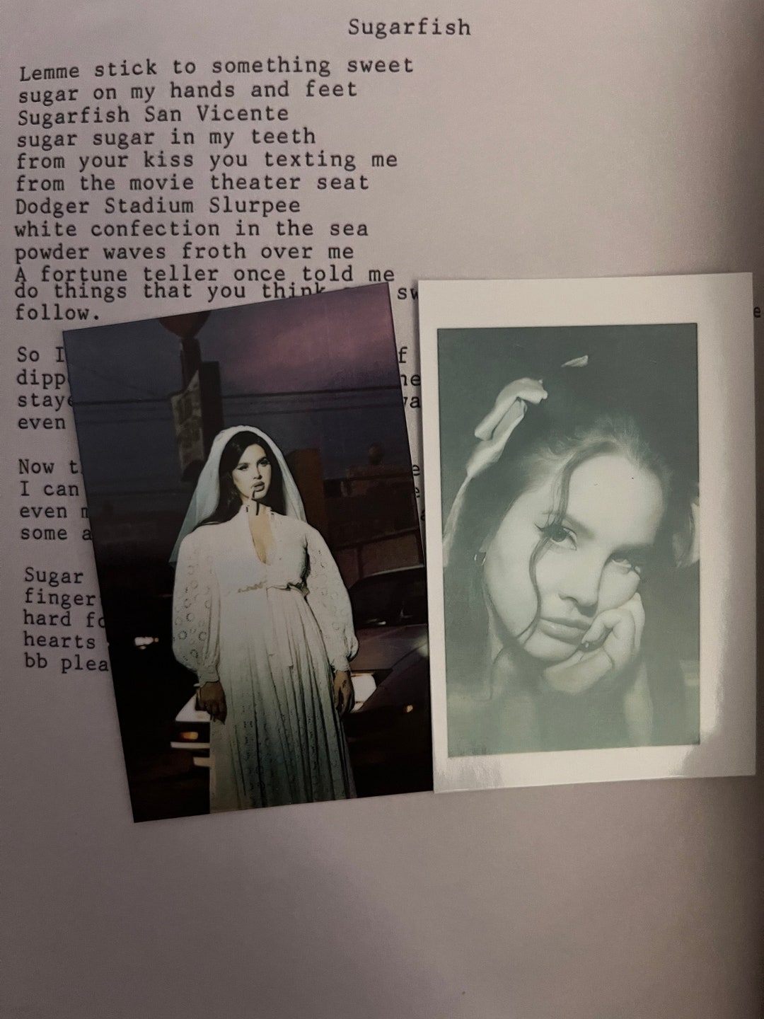 Lana Del Rey Sticker Pack - Etsy