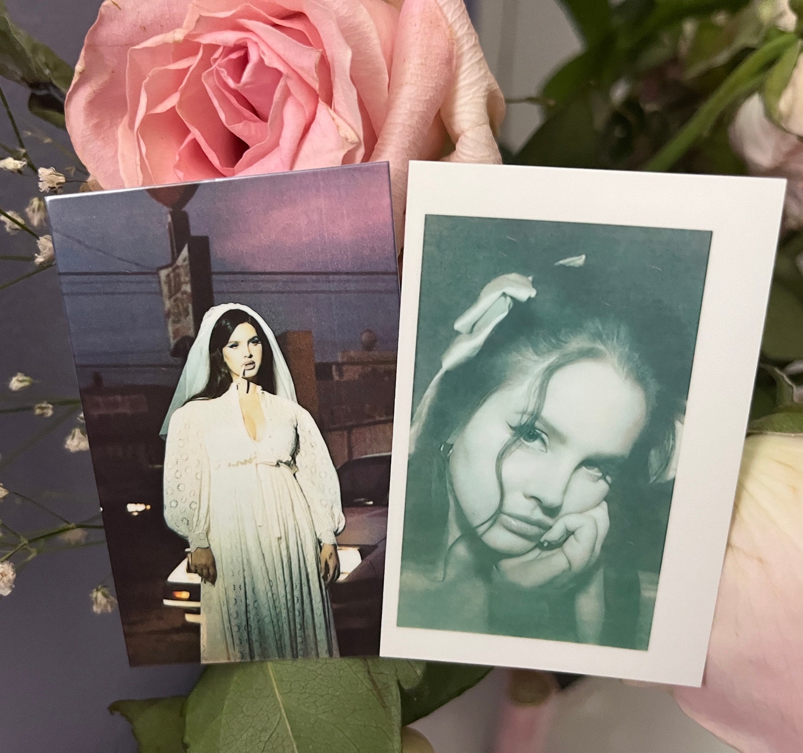 Lana Del Rey Sticker Pack - Etsy