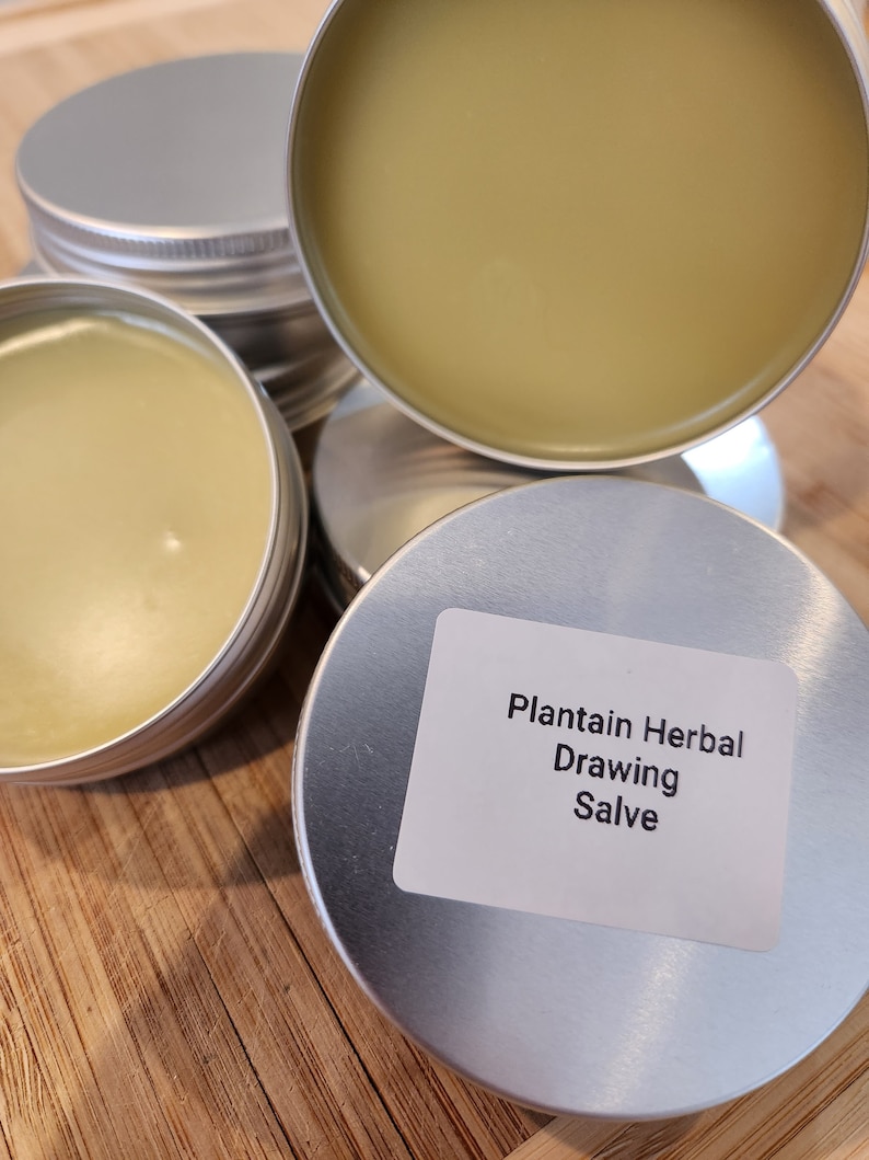 Plantain Herbal Drawing Salve - Etsy