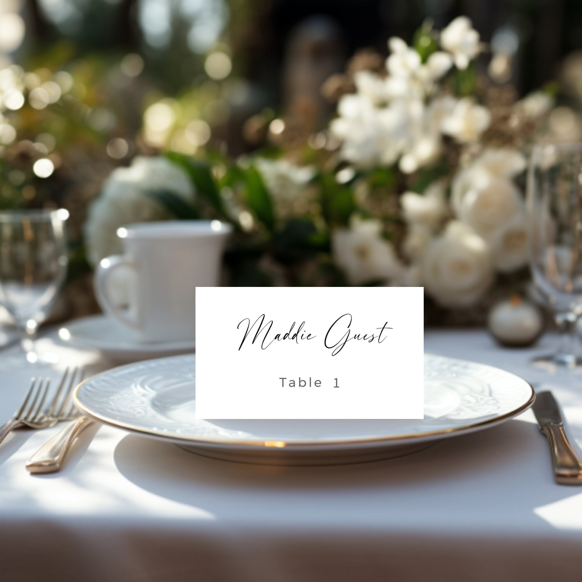 Modern Place Cards Template INSTANT DOWNLOAD Name Card - Etsy