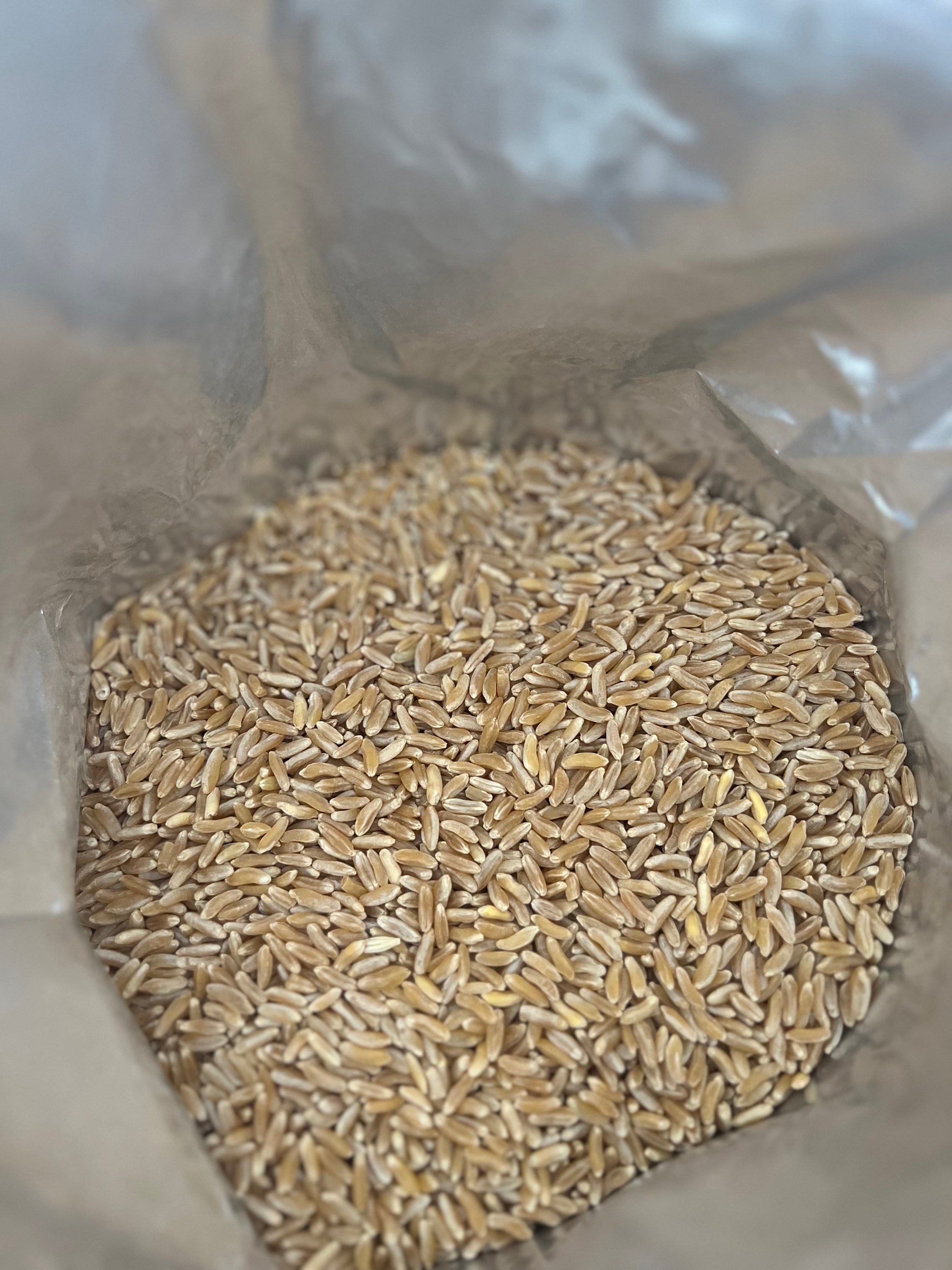 Fresh Milled Organic Kamut Flour - Etsy