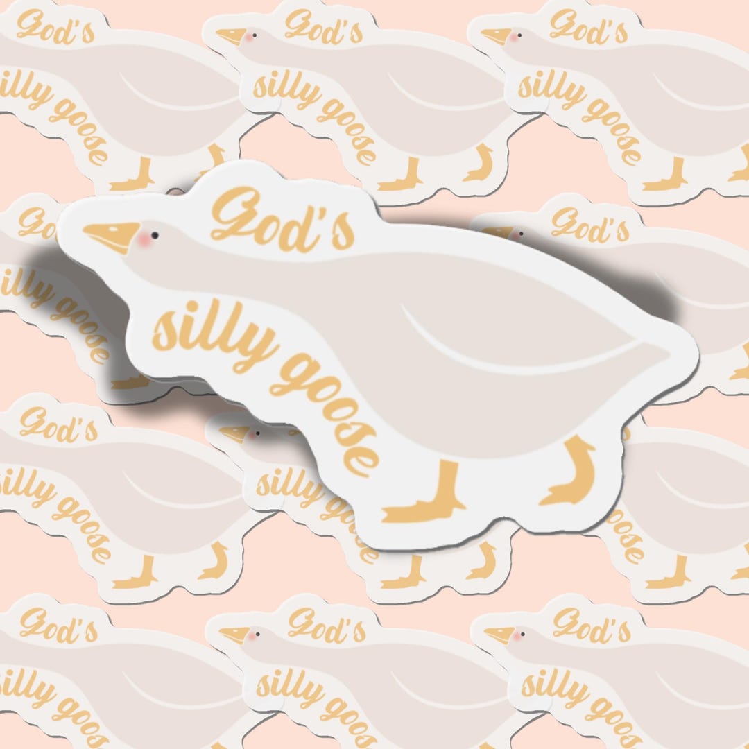 Christian Magnet, Gods Silly Goose Magnet, Religious Magnet, Goose ...