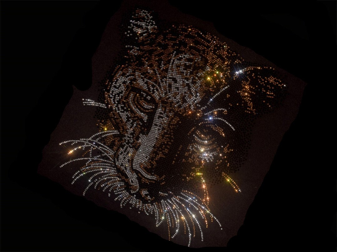 The Leopard Rhinestone Transfer Bling Hot Fix Iron on Patch Motif ...