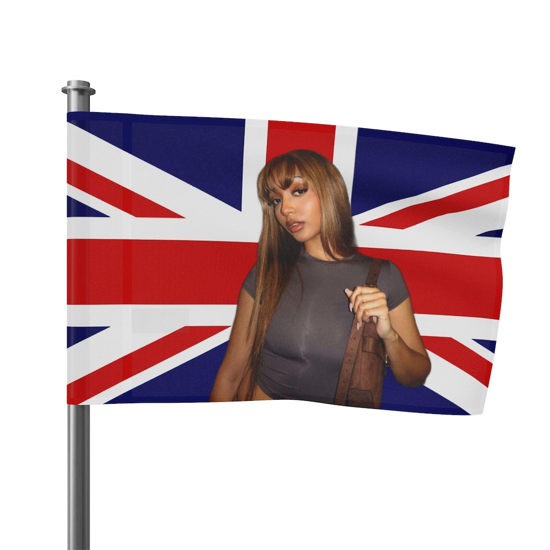 Pink Pantheress UK Flag Poster, P.pantheress Fangirl Gift Flag, Bedroom ...