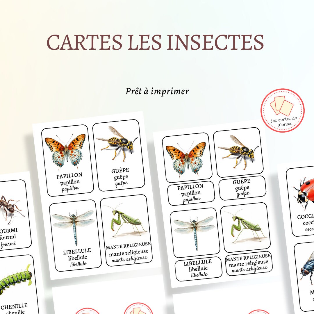 Tarjetas de vocabulario de insectos. - Etsy España