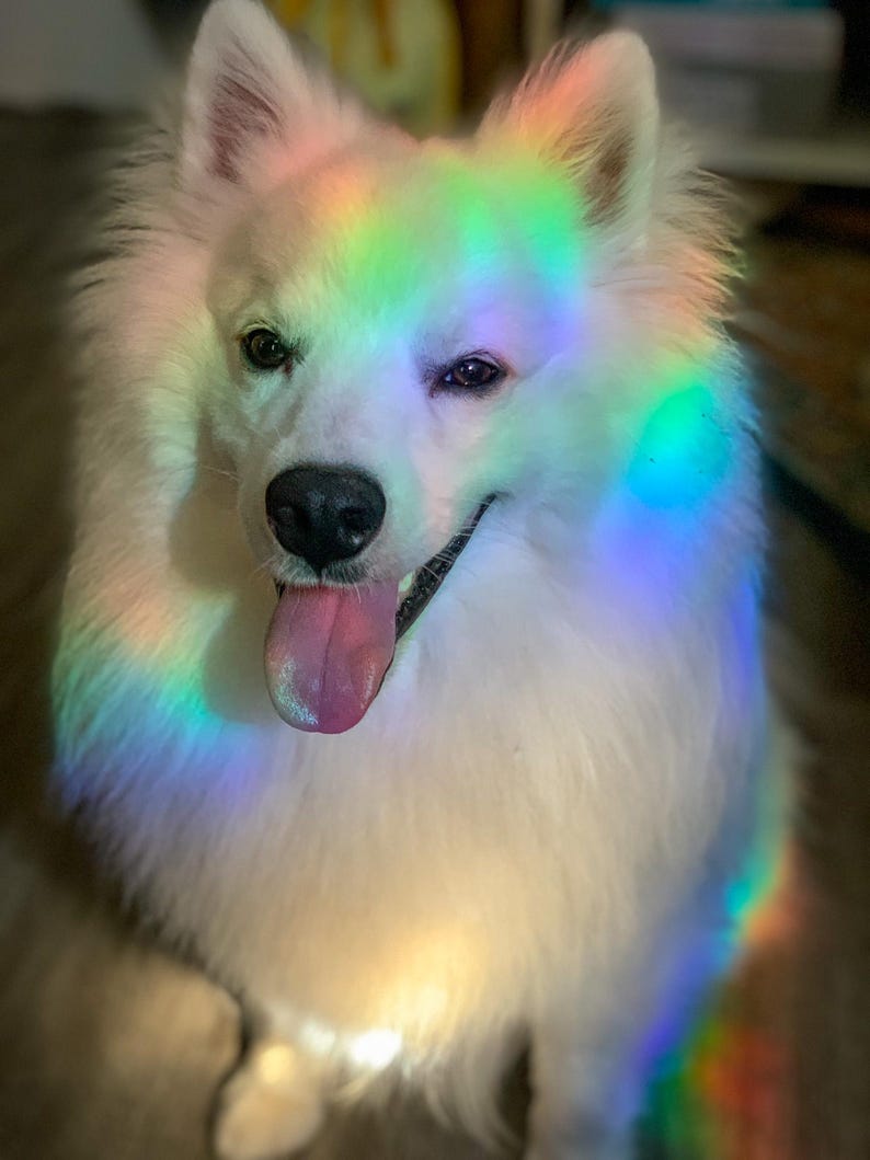 Smiski Cat Suncatcher: Rainbow Maker, Glow in the Dark Window Decal - Etsy