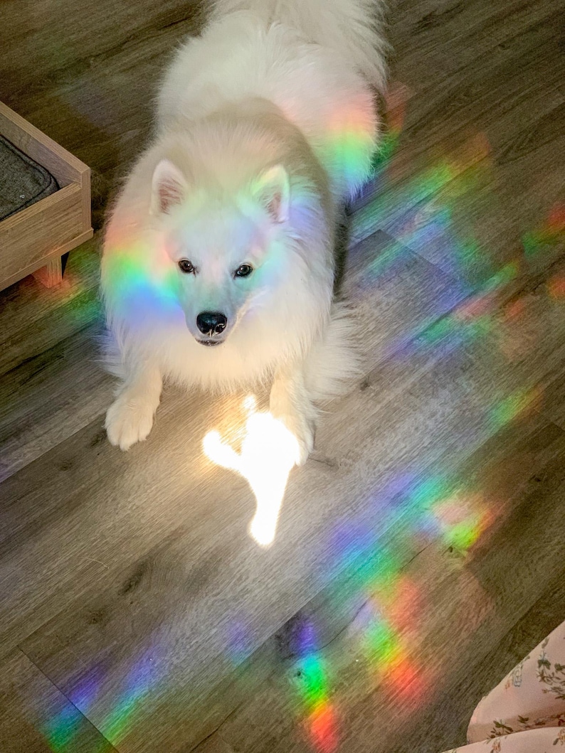 Smiski Cat Suncatcher: Rainbow Maker, Glow in the Dark Window Decal - Etsy