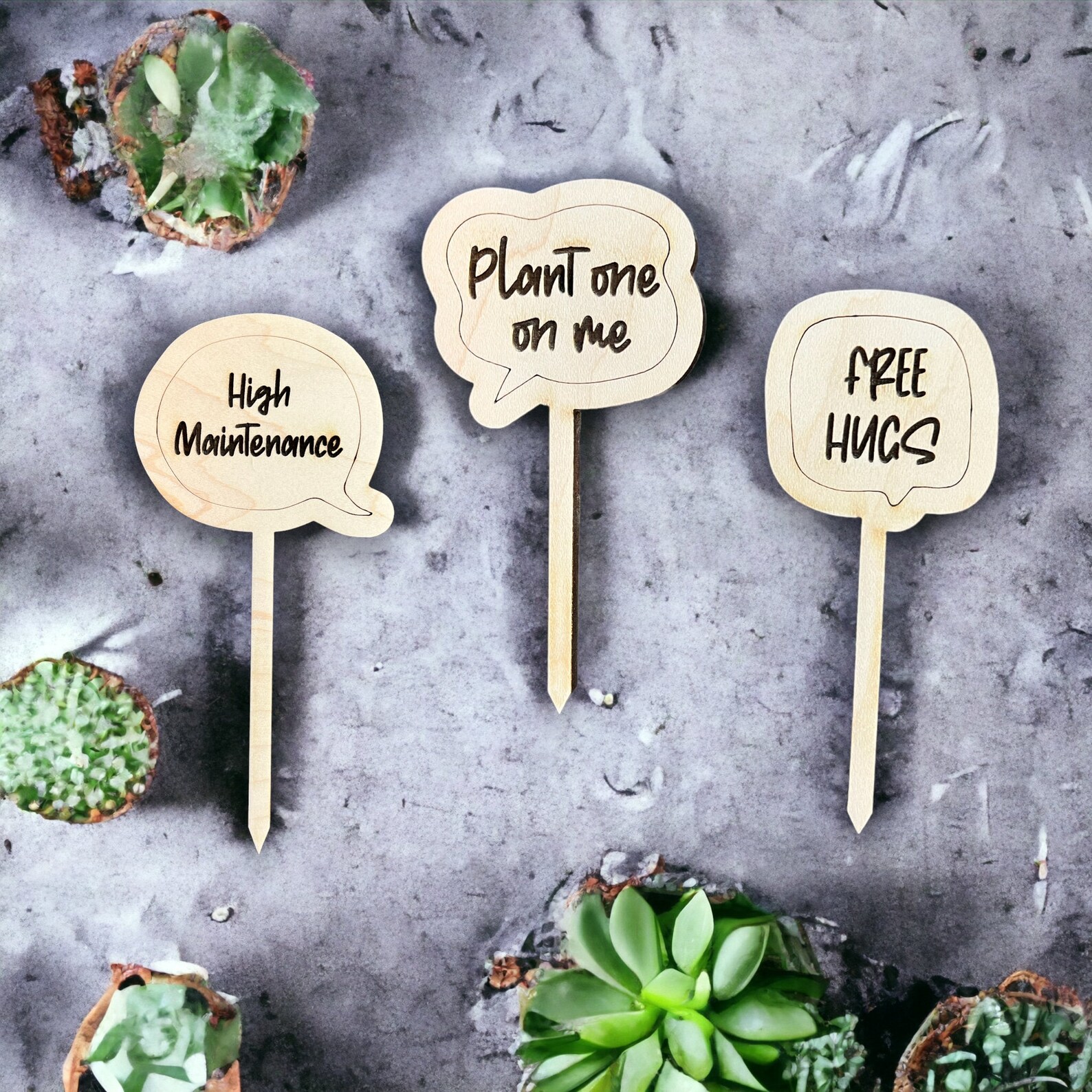 6 Pack of Plant Stakes, Quotes or Plants, Funny Plant Signs, Succulent ...