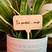 6 Pack of Plant Stakes, Quotes or Plants, Funny Plant Signs, Succulent ...