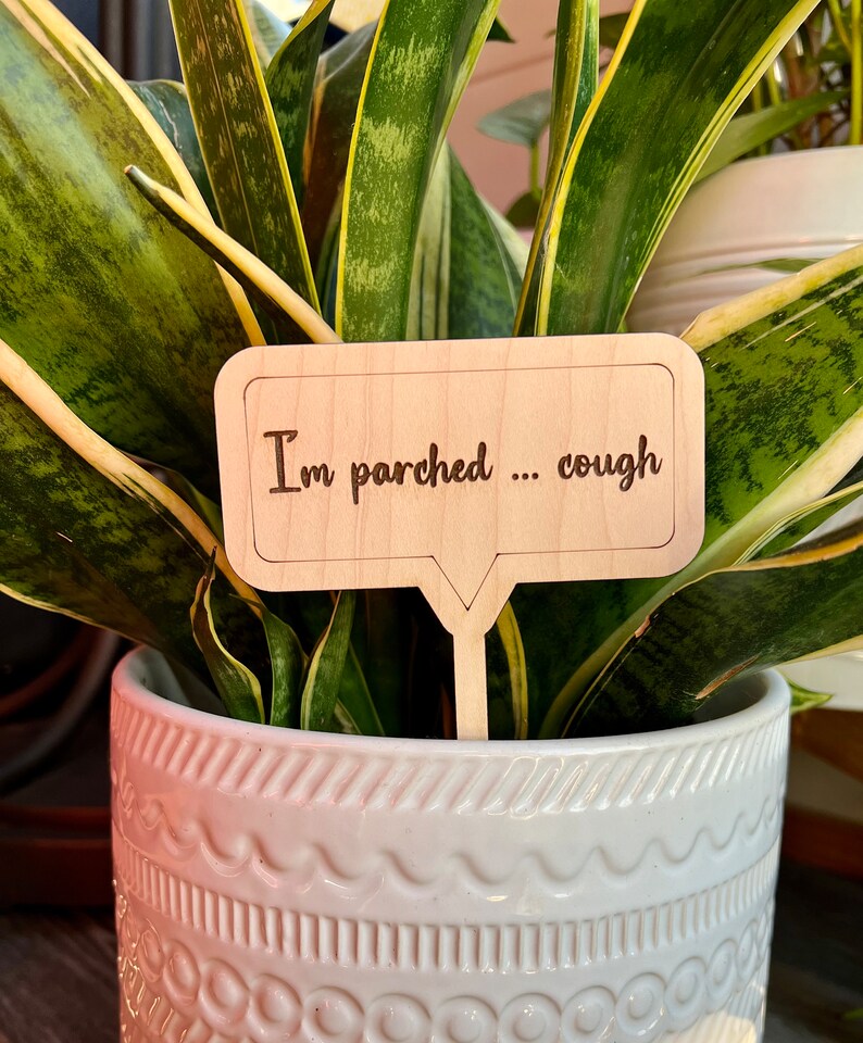 6 Pack of Plant Stakes, Quotes or Plants, Funny Plant Signs, Succulent ...