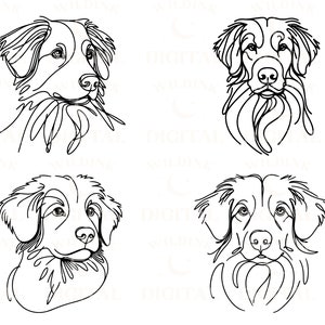 Nova Scotia Duck Tolling Retriever SVG & PNG Clipart Bundle: Digital ...