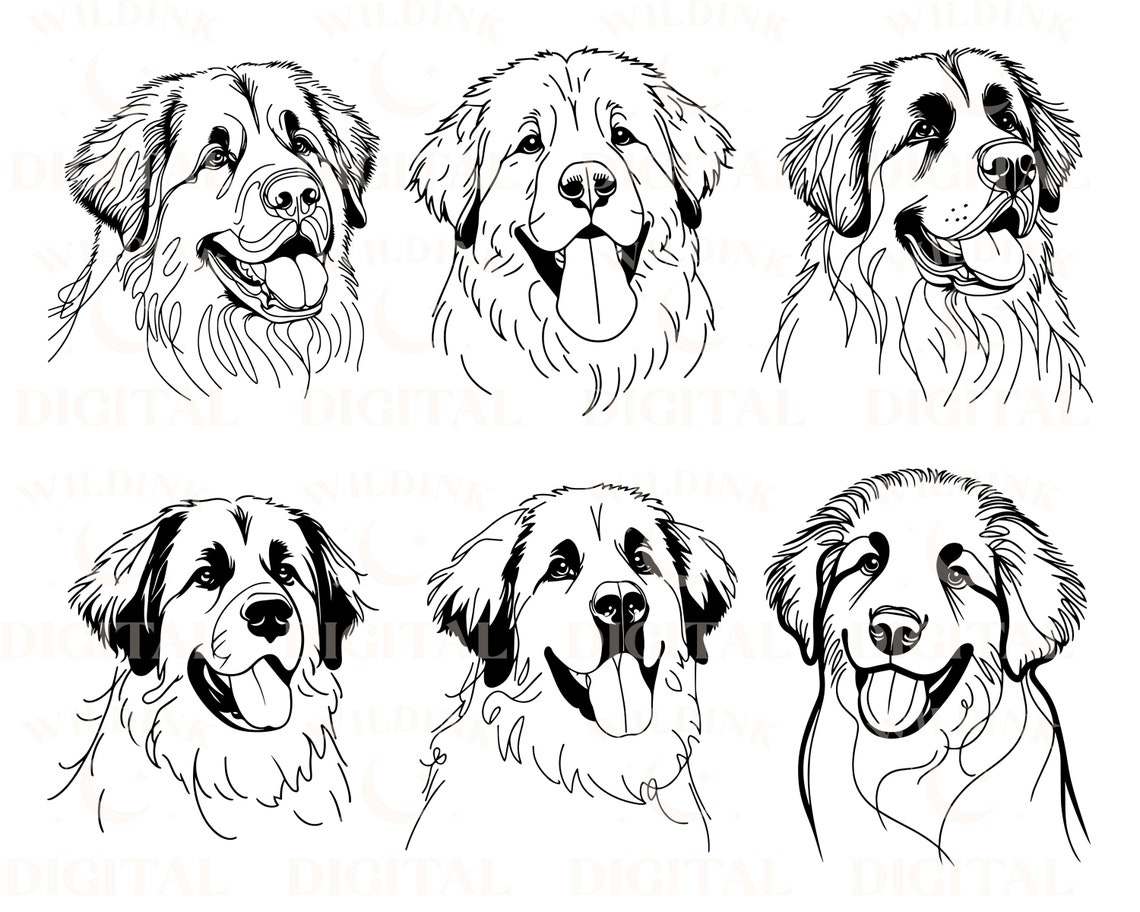 Leonberger Dog Line Art: Minimalist SVG PNG Clipart (digital Download ...