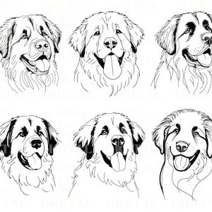 Leonberger Dog Line Art: Minimalist SVG PNG Clipart (digital Download ...