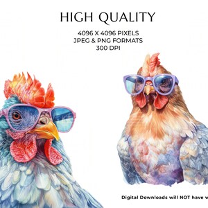 Watercolor Chicken Clipart With Sunglasses: Farm Animal PNG JPEG ...
