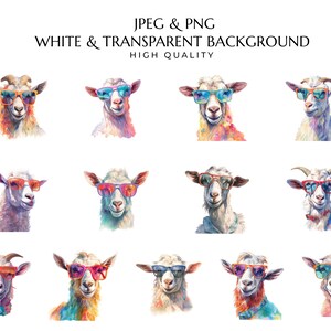 Watercolor Goat Clipart With Sunglasses, 13 High-quality PNG & JPEG ...