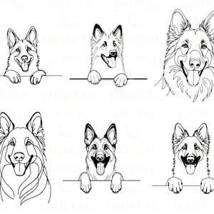 Dutch Shepherd SVG & PNG Clipart Bundle: Digital Line Art, Minimalist ...