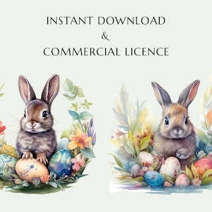 Watercolor Easter Bunny Clipart: PNG Spring Nursery Art (digital ...