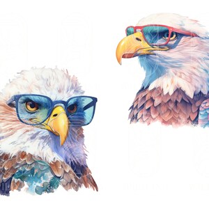 Watercolor Eagle Clipart With Sunglasses, 12 High-quality PNG & JPEG ...