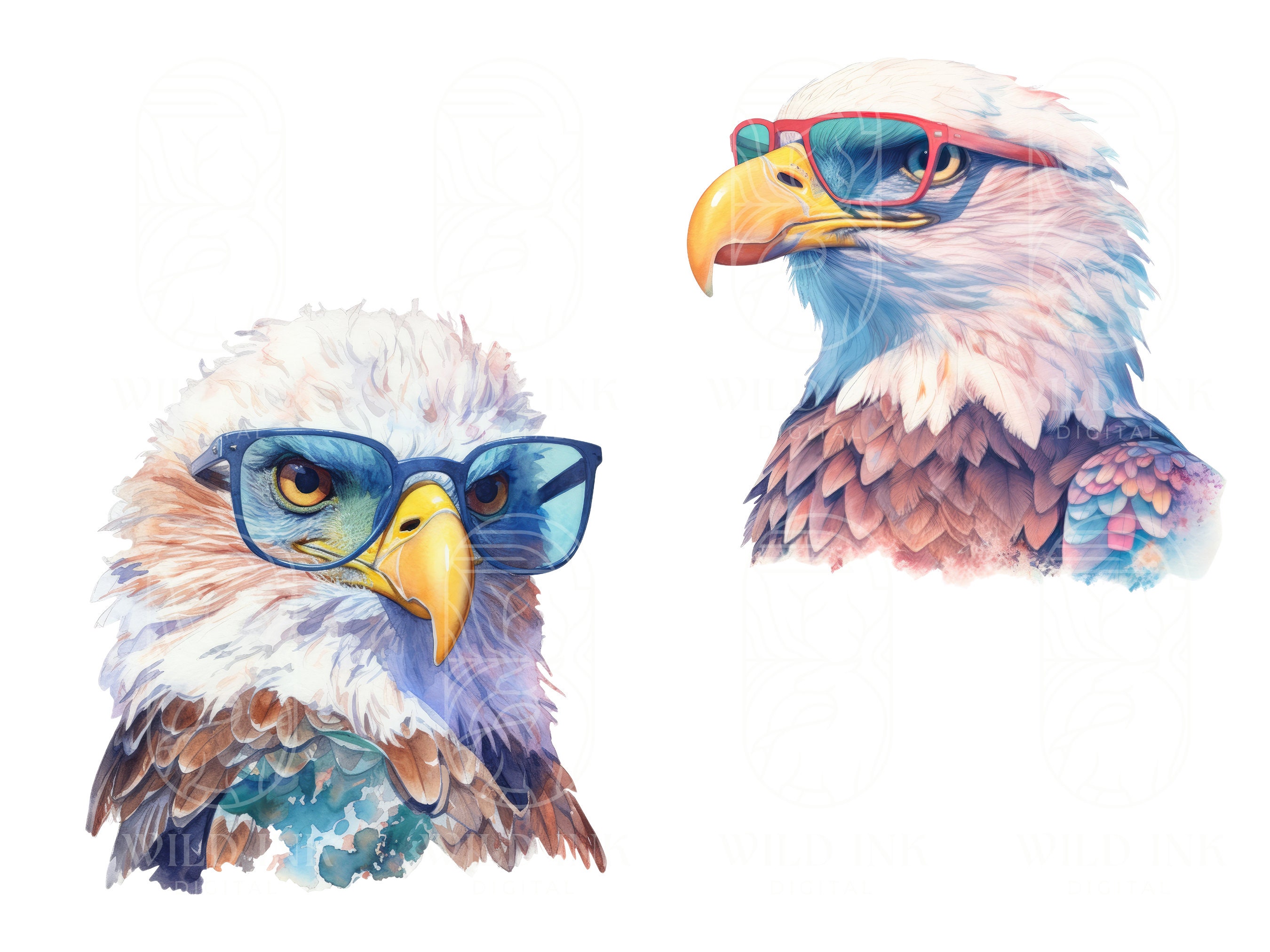 Watercolor Eagle Clipart With Sunglasses (digital Download) - Etsy