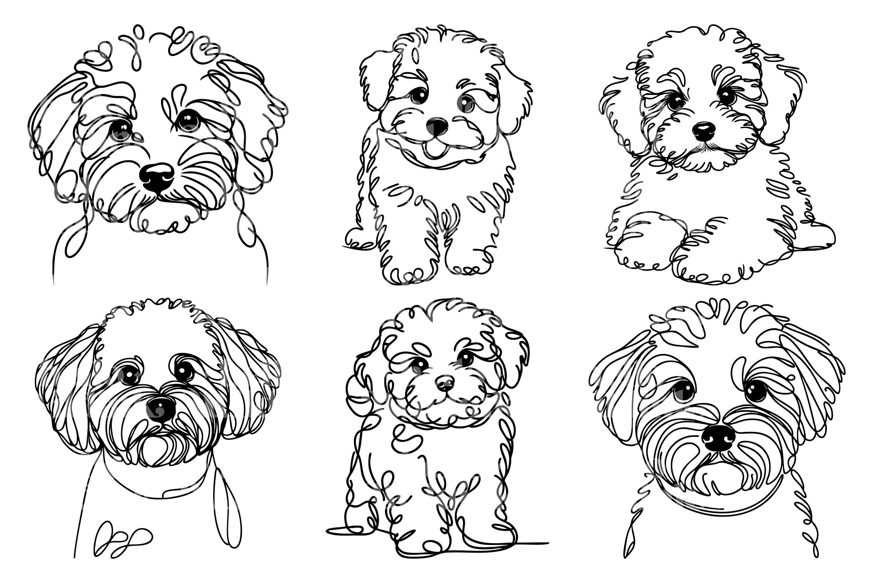Maltipoo Line Art Clipart Bundle: Minimalist Dog SVG, PNG (digital ...