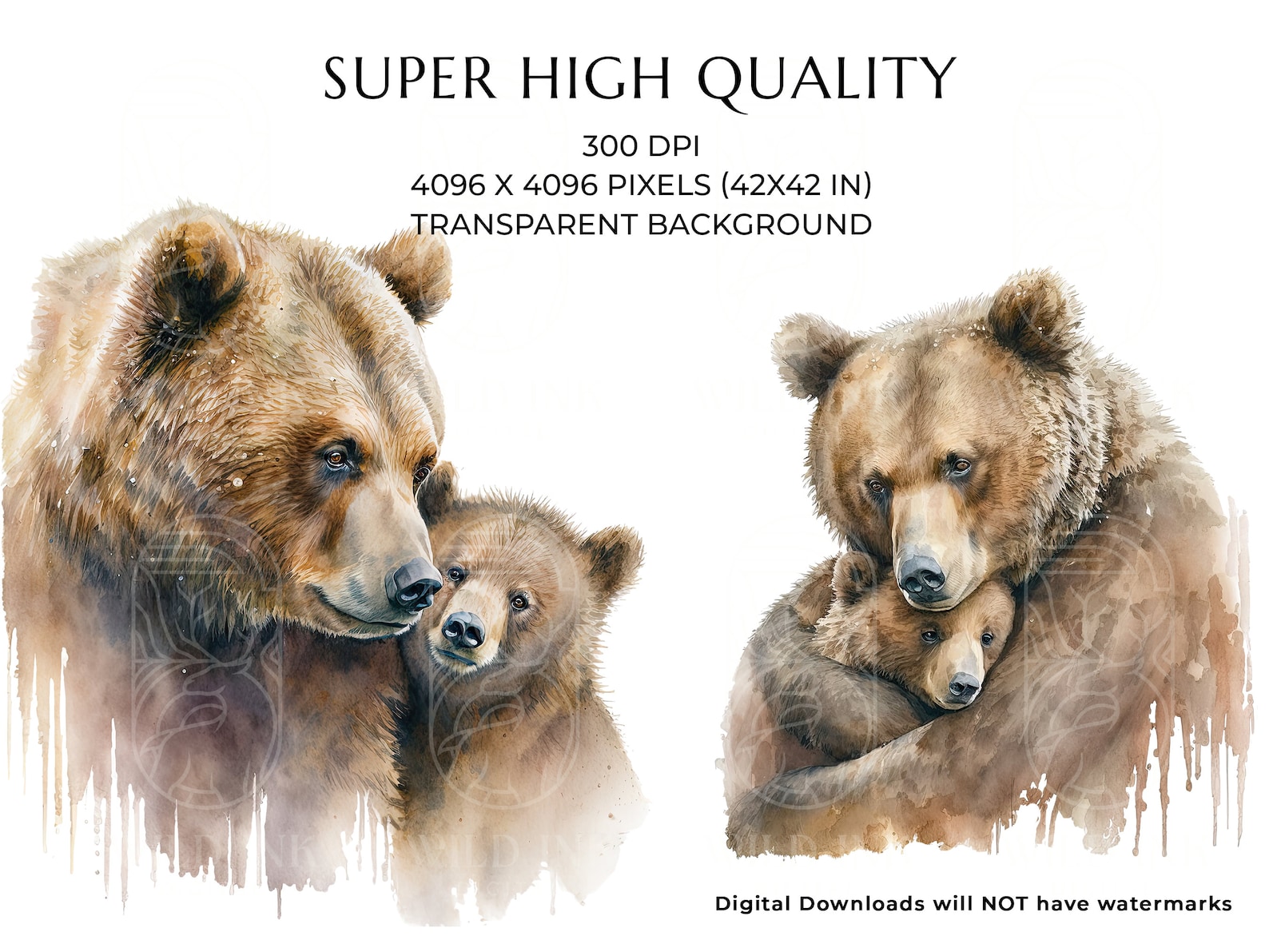 Mom and Baby Bear Clipart 10 High Quality Pngs Watercolor - Etsy
