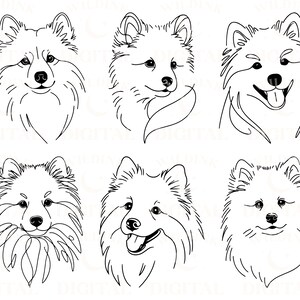 American Eskimo SVG & PNG Clipart Bundle: Digital Line Art, Minimalist ...