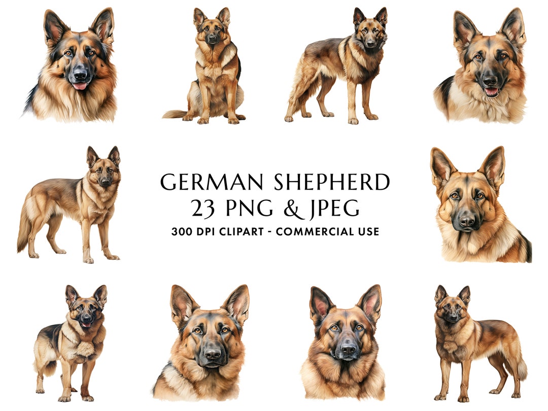 Watercolor German Shepherd Clipart Bundle 23 High Quality PNG & JPEG ...