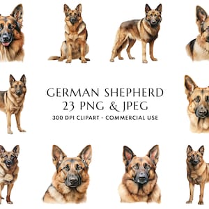 Watercolor German Shepherd Clipart Bundle 23 High Quality PNG & JPEG ...