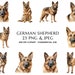 Watercolor German Shepherd Clipart Bundle, 23 PNG & JPEG (digital ...