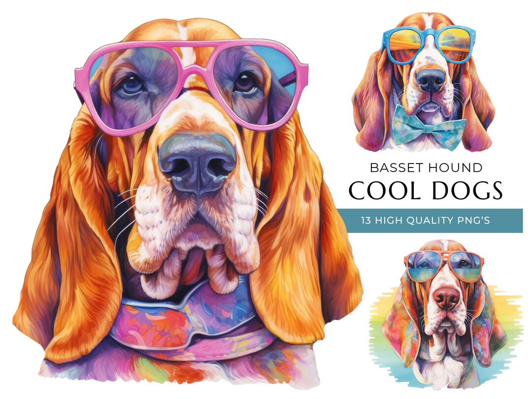 Basset Hound Clipart: Funny Dogs With Sunglasses, Watercolor Pngs ...