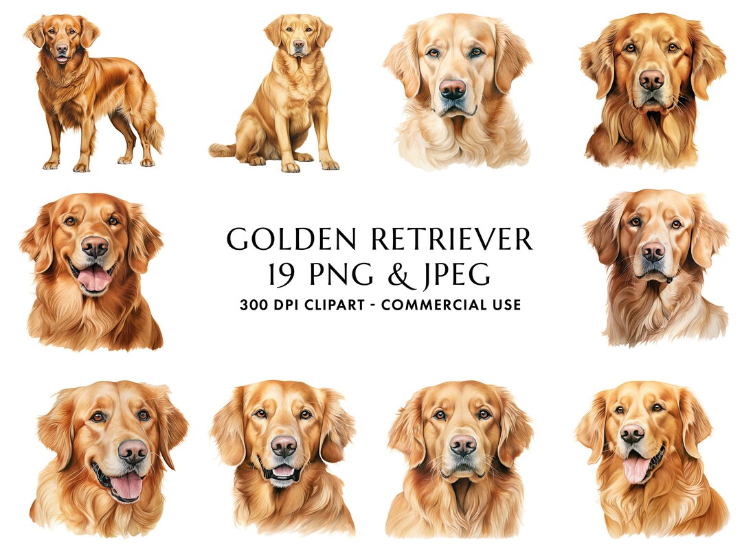 Watercolor Golden Retriever Clipart Bundle 19 High Quality PNG & JPEG ...