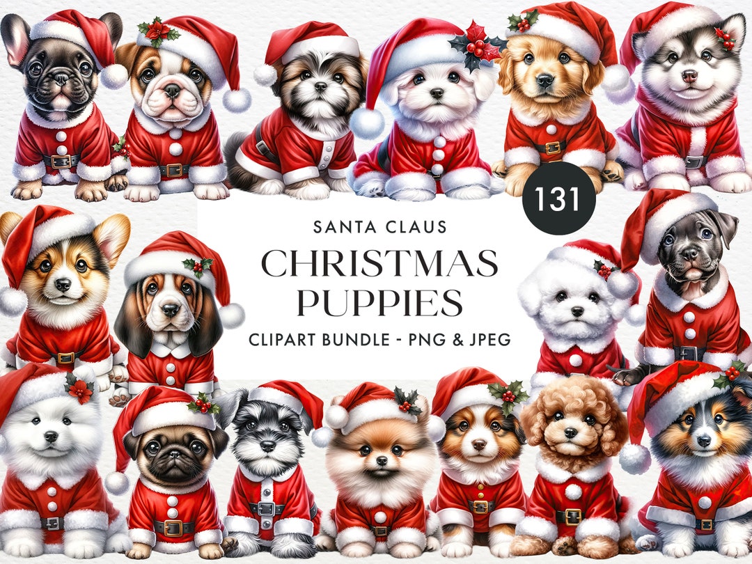 Christmas Dogs, 131 Cute Santa Claus Puppies PNG & JPEG Clipart Bundle ...