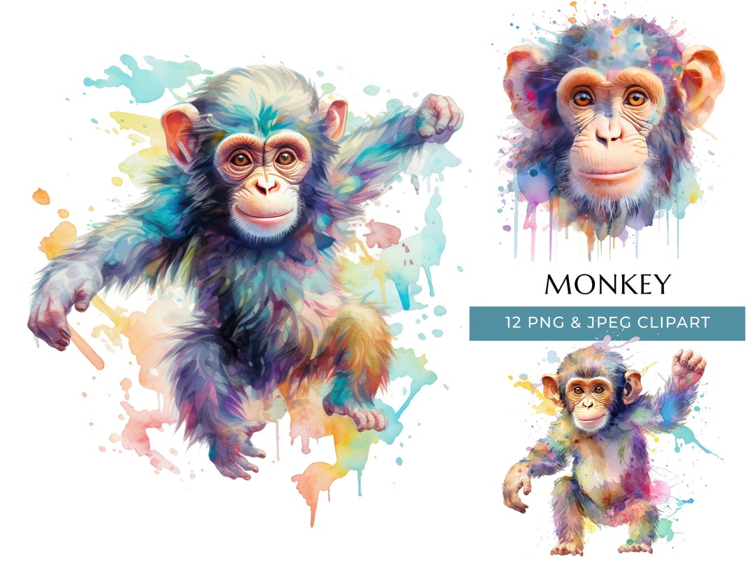 Monkey Clipart - 12 High Quality Pngs & JPEG - Colorful Watercolor ...