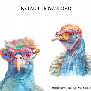Watercolor Turkey Clipart With Sunglasses, Farm Animal PNG JPEG ...
